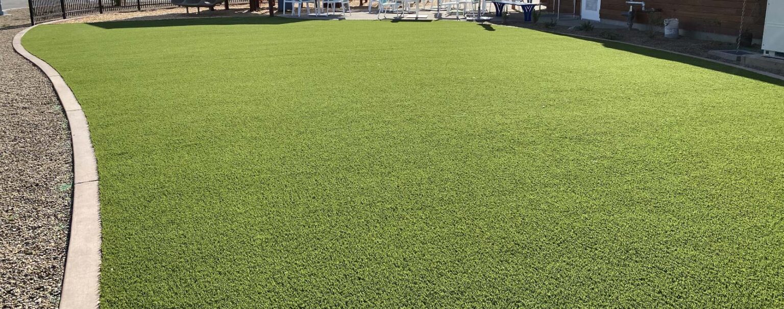 Projects Archive - SYNLawn San Diego