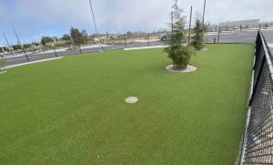 Costa Vista RV Resort | Artificial Grass Project | SYNLawn